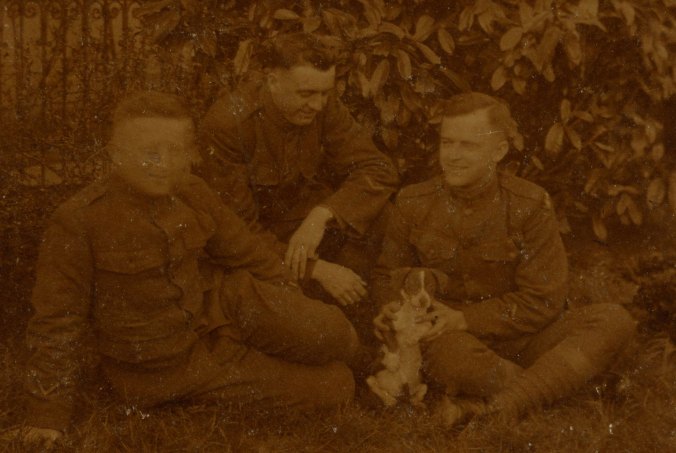 WWI Dog | Portraits of War